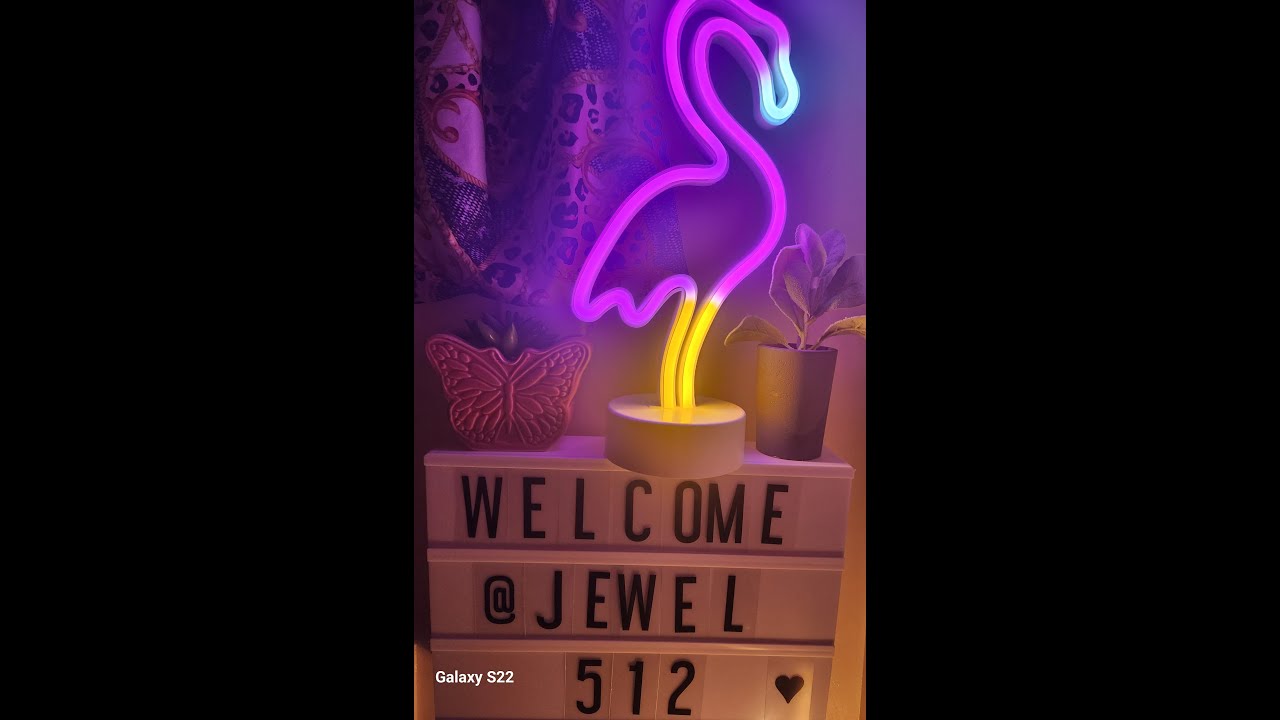 Welcome Back to an Early SPRING Today. Flowers 💐 Butterflies 🦋 and ...