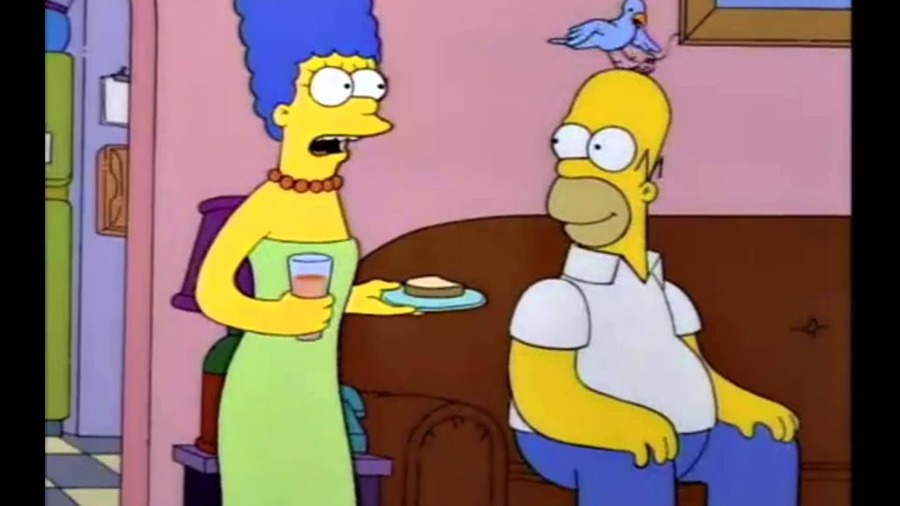 Pájaro Acicalando a Homero - YouTube