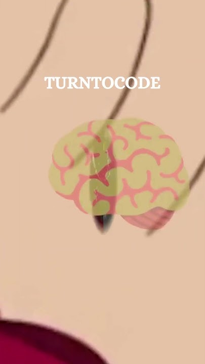 My Mind When I Go To Sleep Shortvideos Viral Coding Coder Memes Youtube