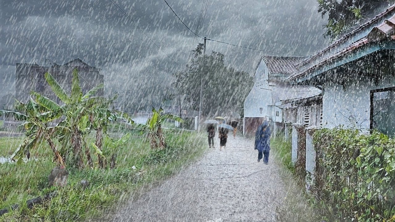 Super Heavy rain and wind storm in My village, Makes you addicted to ...