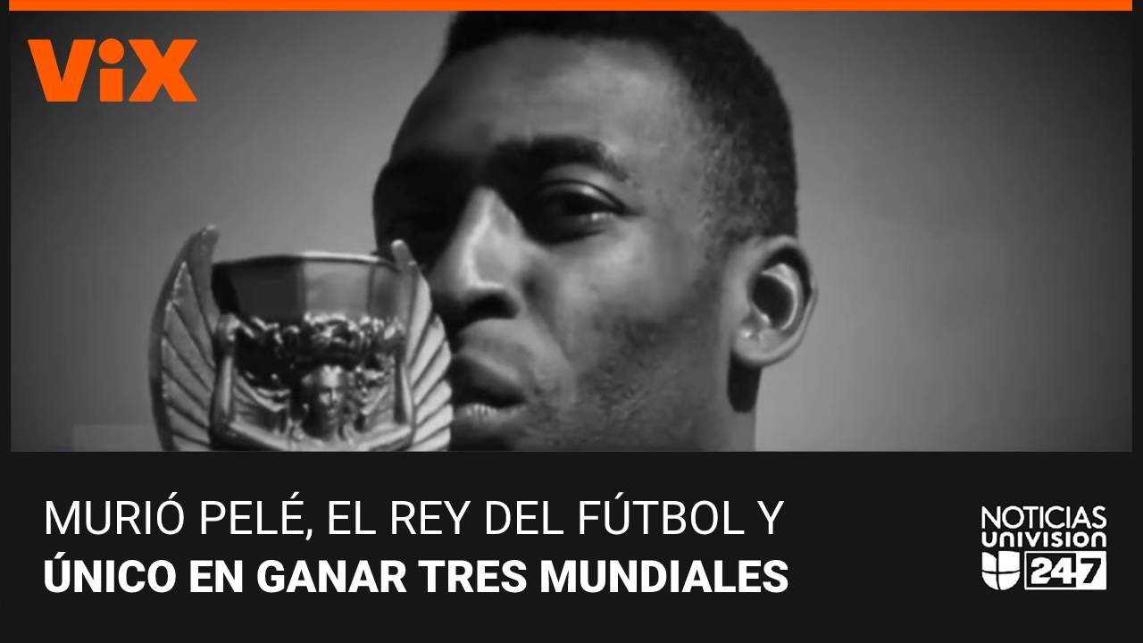 🔴 En vivo ViX: Noticias Univision 24/7 Tarde, 29 de diciembre del 2022 ...