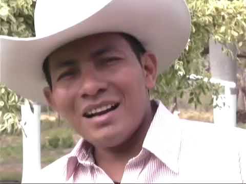 Yesid Ortiz – Guacaba Criolla, Guacaba (Video Oficial) | Joropo Llanero