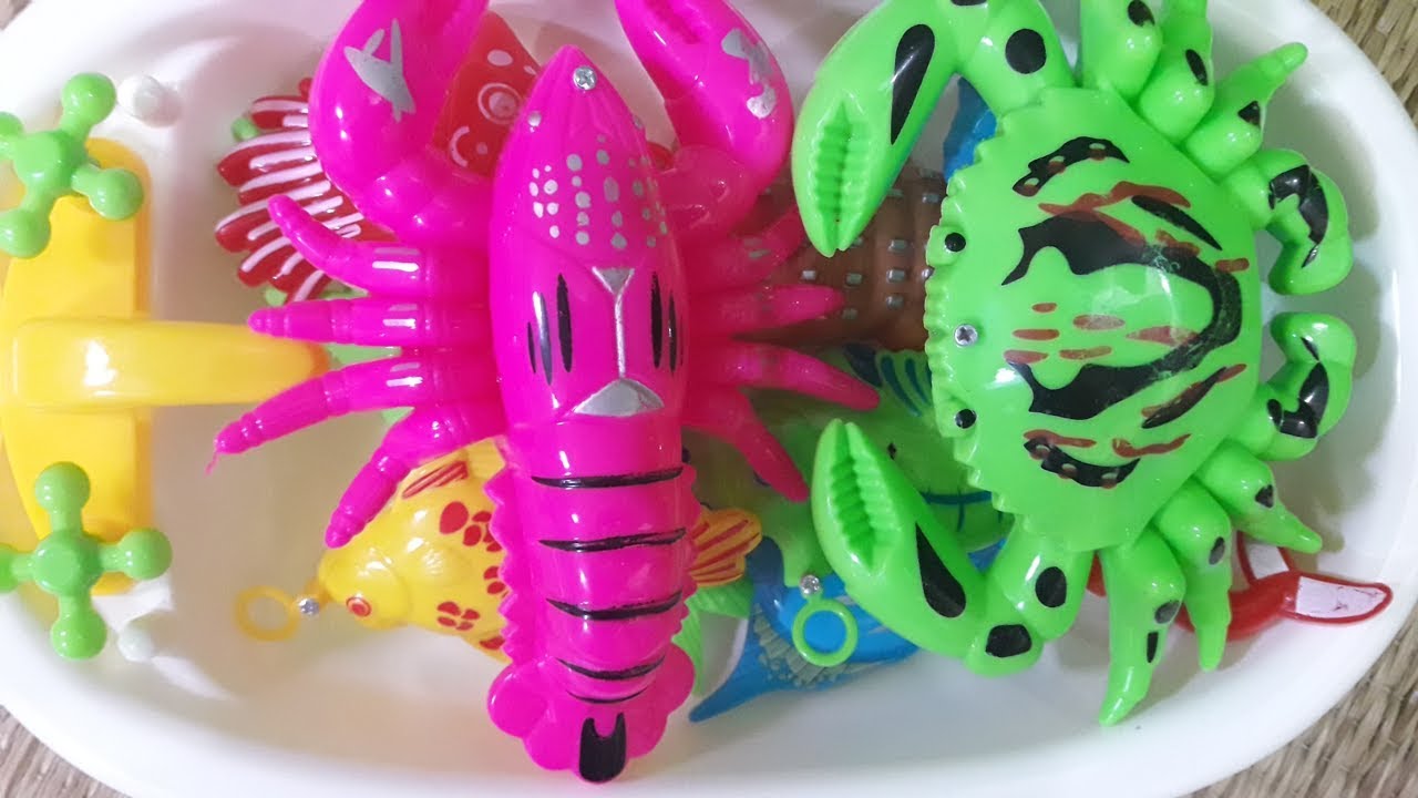 Toy for kid seafood with fish large lobster shrimp crab prawns - YouTube