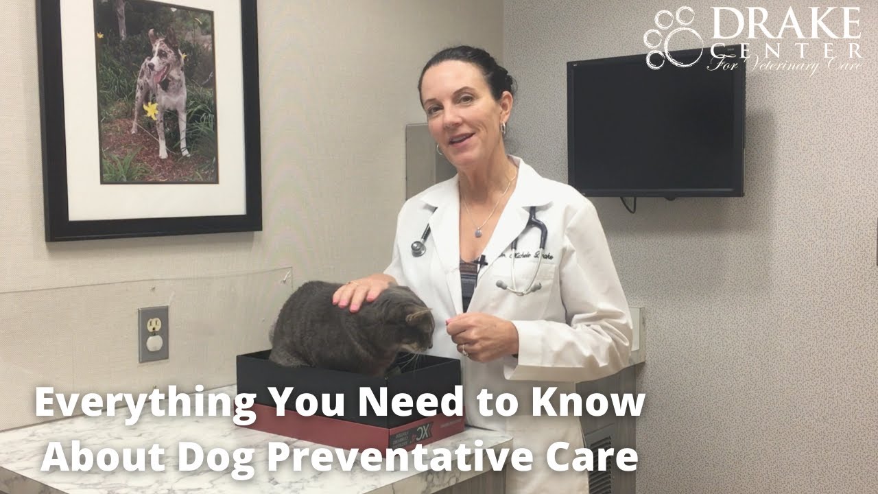 Everything You Need to Know About Dog Preventative Care - YouTube