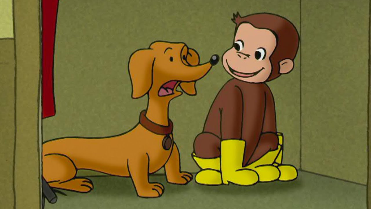 ¡Jorge es un buen perro! | Jorge El Curioso En Español - YouTube