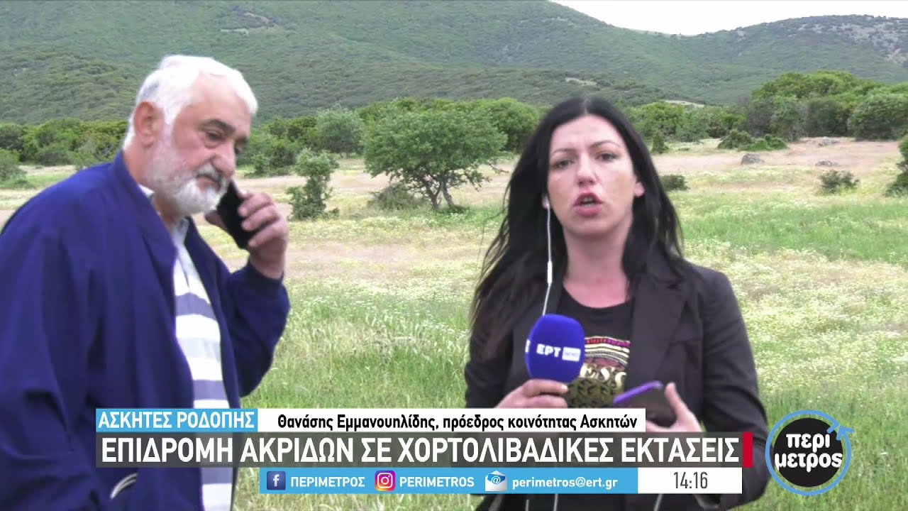 Επιδρομή ακρίδων σε χορτολιβαδικές εκτάσεις | 18/05/2023 | ΕΡΤ - YouTube