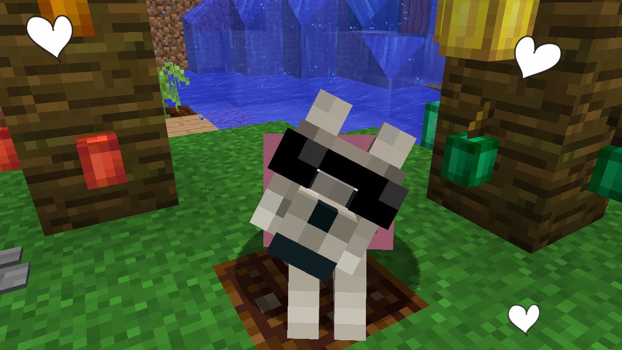 Puppy Adventure 🐶 | Animal Land Minecraft - YouTube