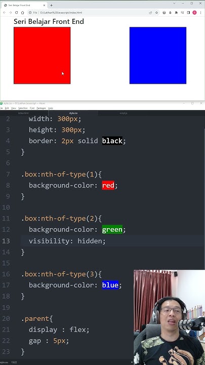 Perbedaan Antara Visibility dengan Display #skysen #coding #code #programming #css #display ...