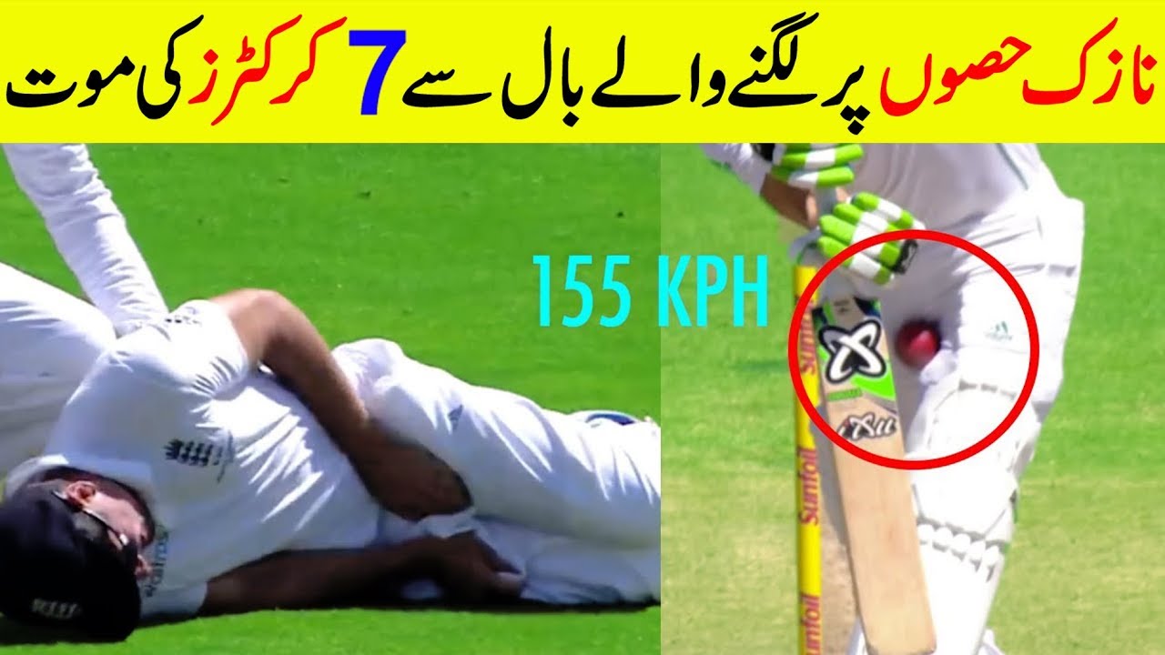 Famous cricket player who was knocked out during the game || Top7 Hit ...