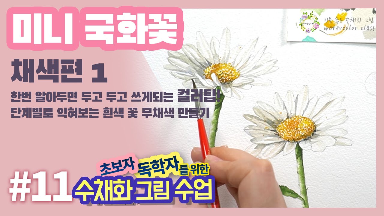 수채화 미니국화 채색편1 11강 단계별로 익혀보는 흰색 꽃 컬러 만들기 무채색 만들기 컬러팁 물고기아트아뜰리에