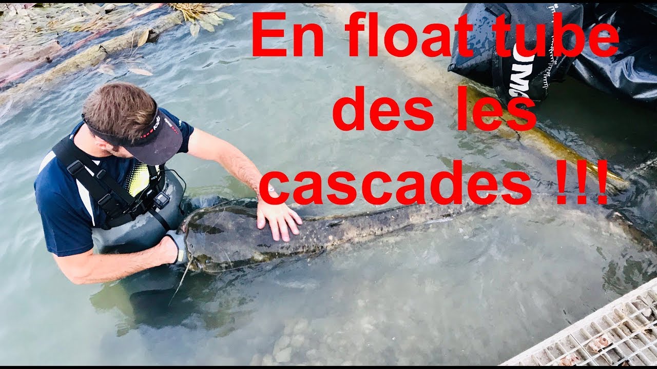 silure 1m80 sur le Rhône. - YouTube