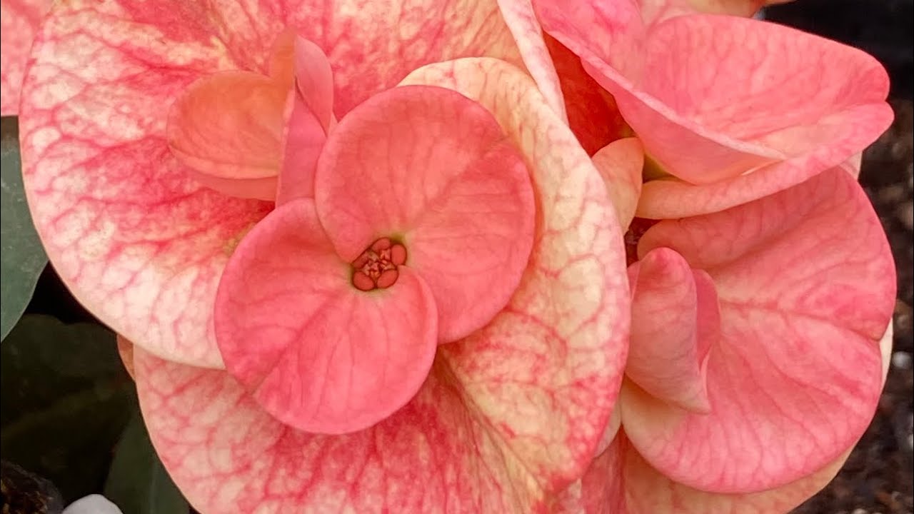 Aqui reportando las novedades - YouTube