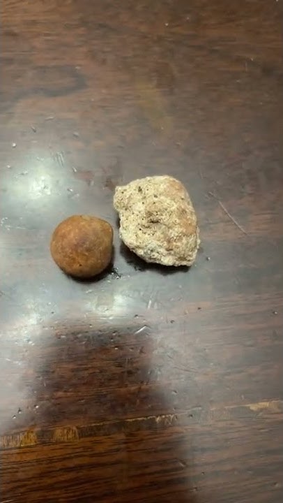 My pet rocks - YouTube