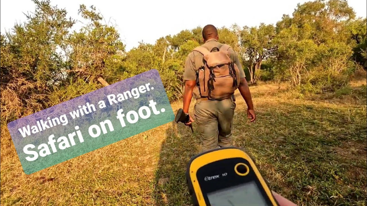 Walking in the Footsteps of an African Wildlife Ranger Day 1 - YouTube