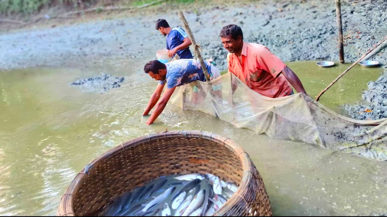 Amaizing Muddy water Fishing video | fishing videos | fish hunter ...