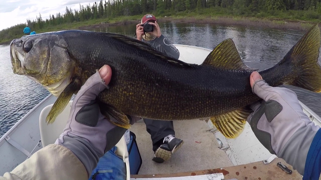 2017 Fishing Bain Lake - YouTube