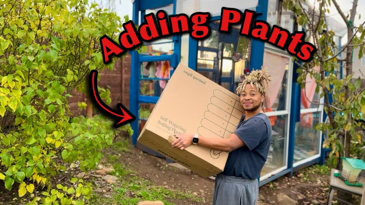 Adding Plants to My Greenhouse! ft. Vego Garden Grow Light + Planter ...