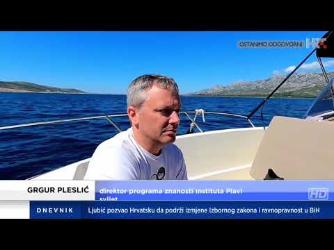 Veliki kit u Velebitskom kanalu, Dnevnik, HRT1, 7.9.2020. - YouTube