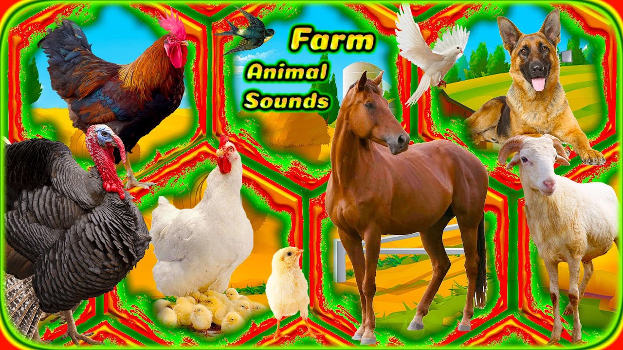Farm Animals to watch - Cute farm and wild animals - Videos for kids ...