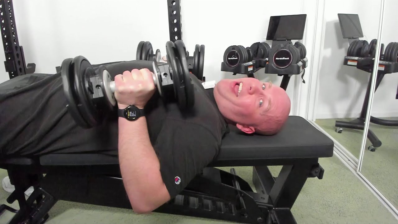 Build Your Upper Body: Dumbbell & Bench Workout - YouTube