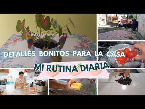 Mis quehaceres de dos dias|Detalles PARA LA CASA😍LIMPIEZA, COCINA ...