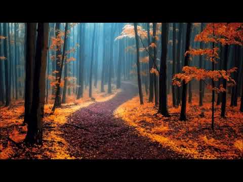 Orxan Lökbatanlı - Tənha bir ağac (minus)