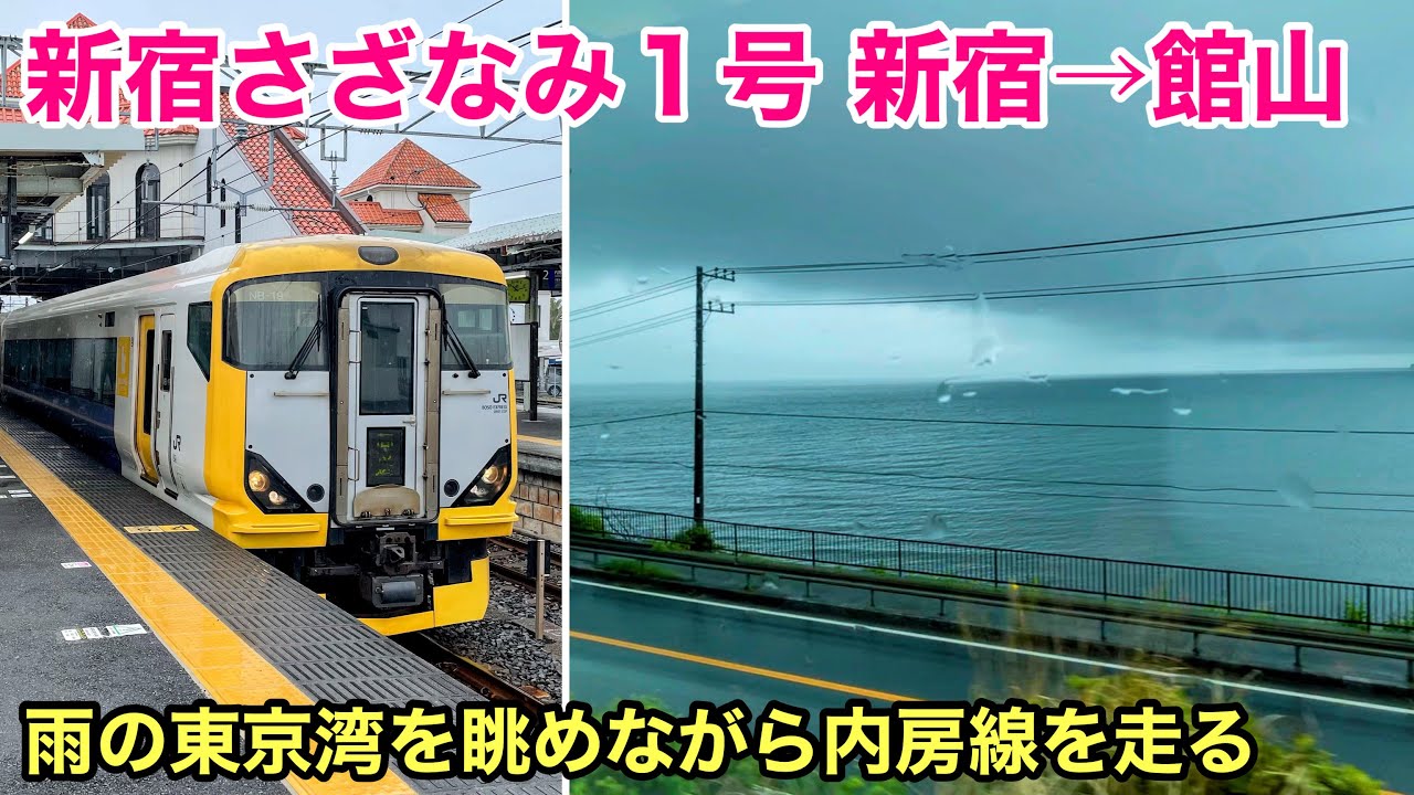【車窓】新宿さざなみ1号 新宿→館山 春・右斜 内房線特急で雨の東京湾を巡る See Japan by train “Ltd. Express ...