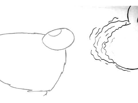 Skunk Farting On Dog 2