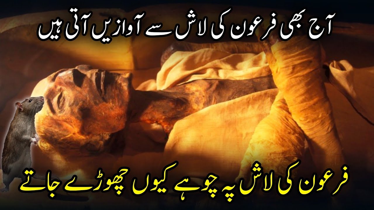 Firon Ki Lash Museum Mein Kiu Hai / The Mummy Of Firon - YouTube