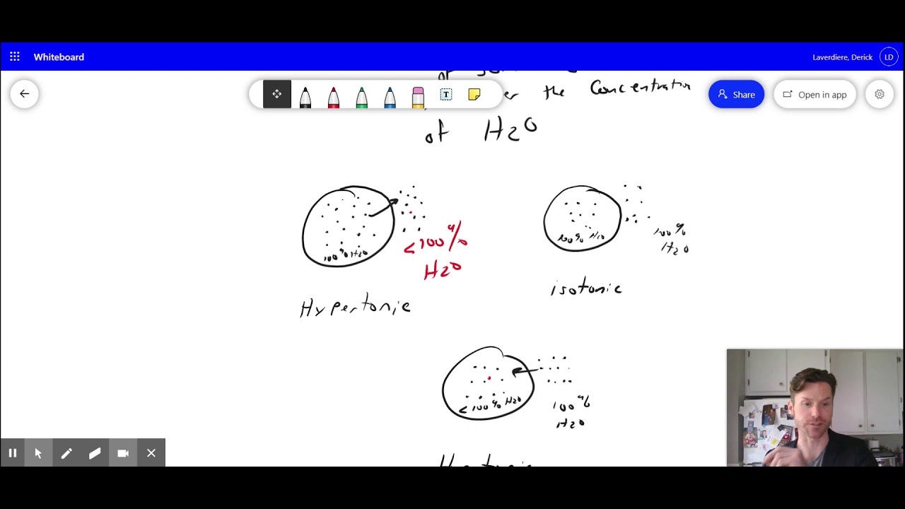 Biology I Prelesson Unit 5 Lesson 4 Cell Transport: Osmosis - YouTube