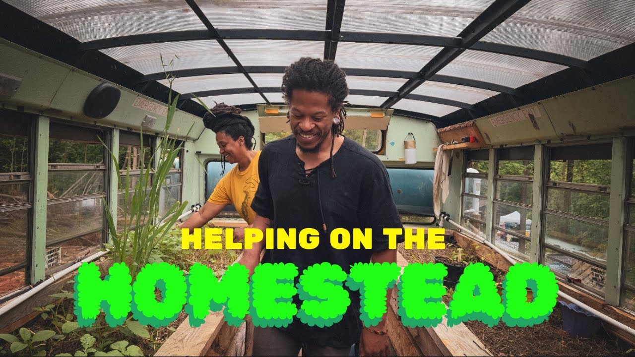 Building New Things On My Friends Off Grid Homestead. - YouTube