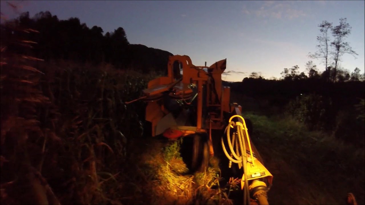 Picking Sweet Corn With Oxbo CP100 - YouTube