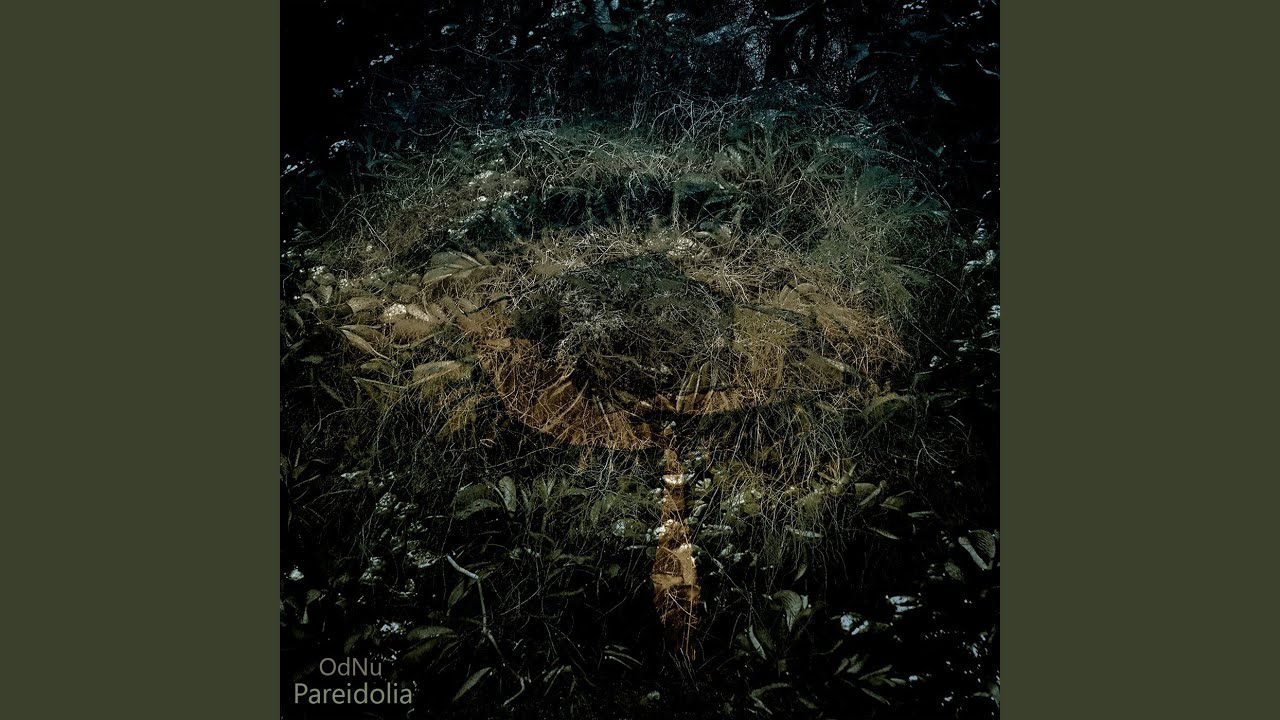 Ultimate Attribution Error - YouTube