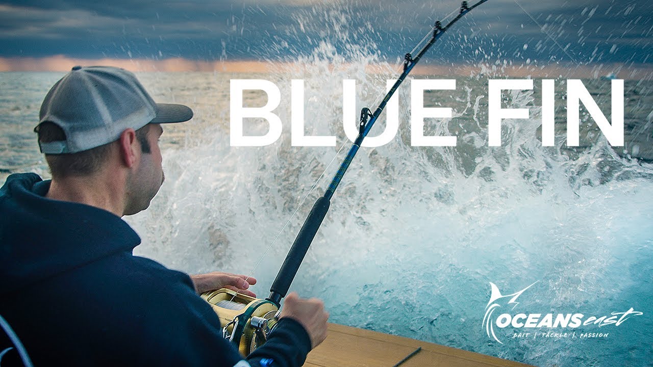 Epic BLUE FIN Tuna Fishing In OBX!!! - YouTube