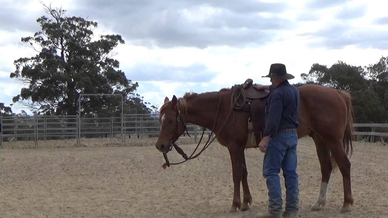 Snugging your saddle and mounting. - YouTube