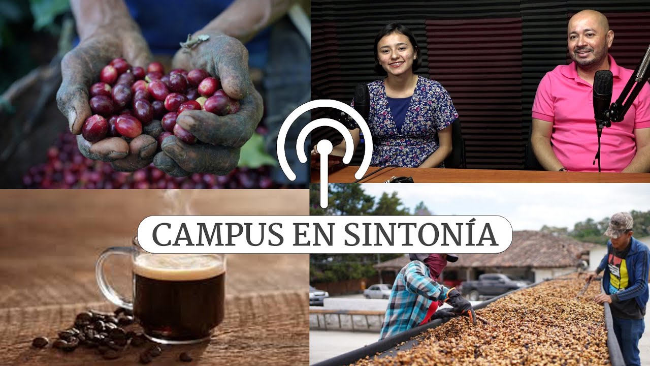 CAMPUS EN SINTONÍA, PROYECTO DE CAFÉ - UES - YouTube
