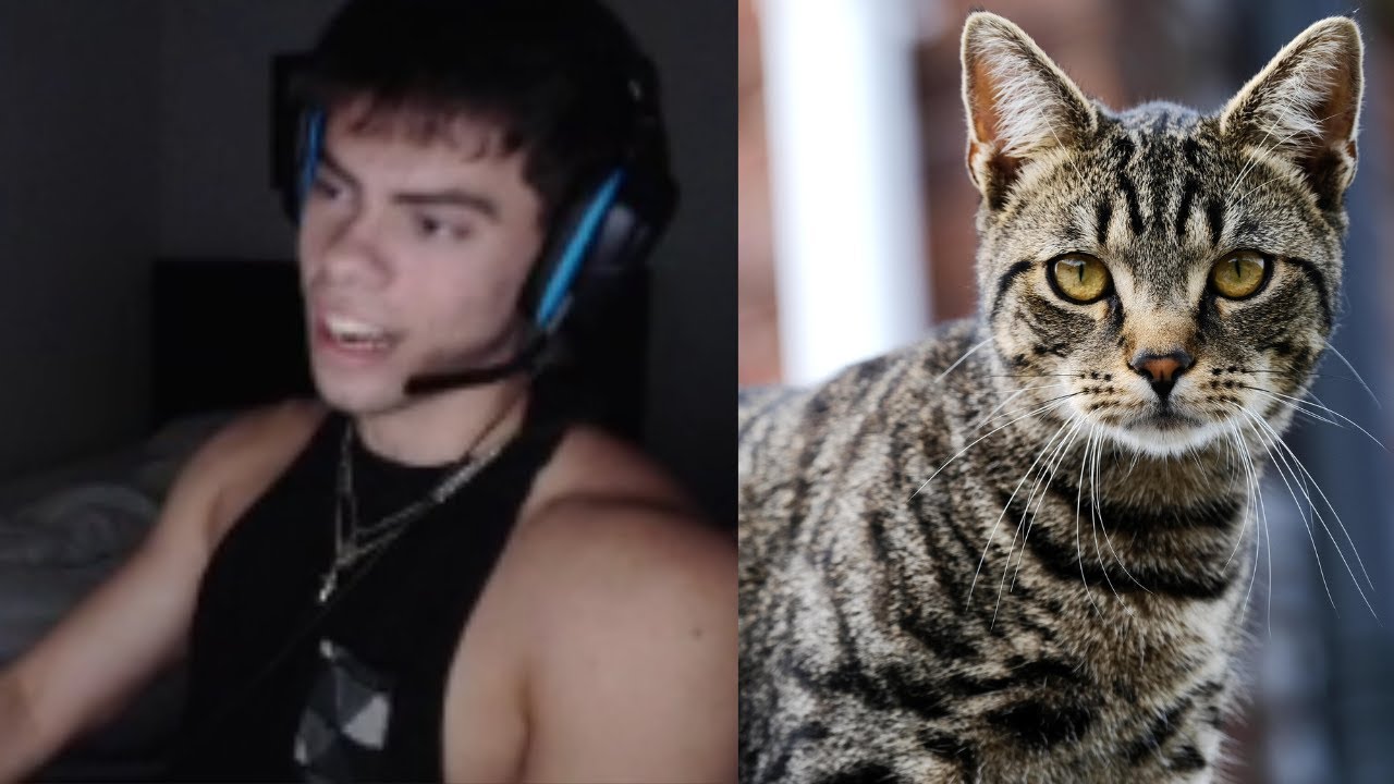 "Can You Meow for Me?" - YouTube