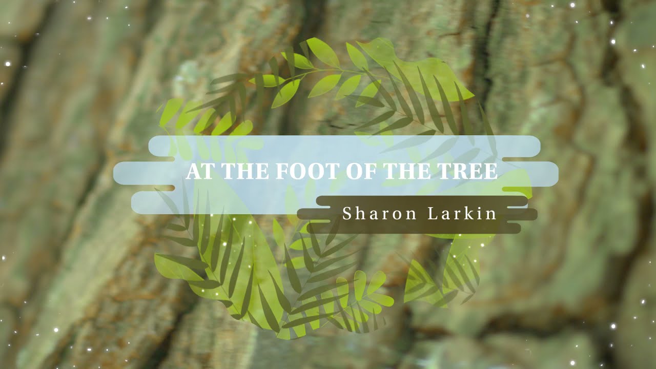 At the foot of the Tree Sharon Larkin - YouTube