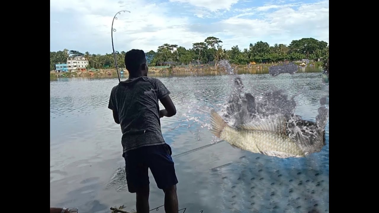 Giant Big Fish | Fish Catching | Big Fish Catching. - YouTube