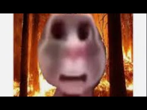 Boi what da hell boi meme - YouTube