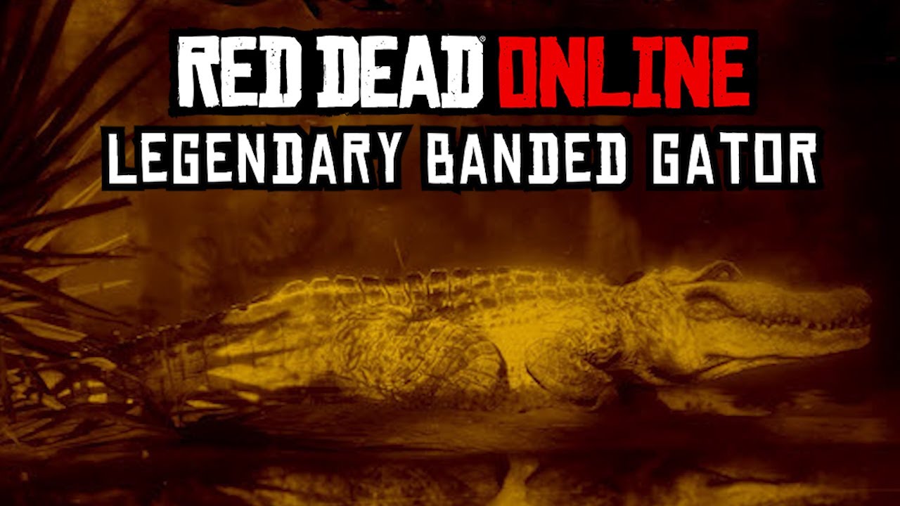Red Dead Online - Legendary Banded Gator mission - YouTube