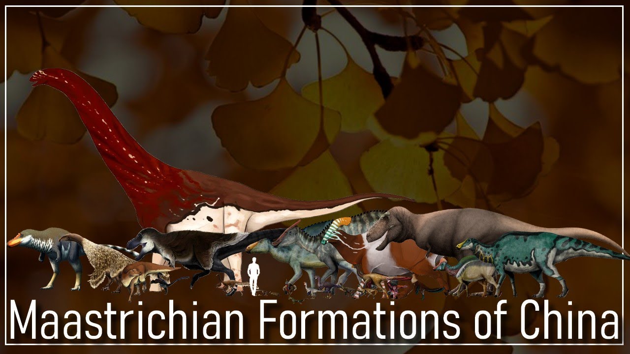 🇨🇳 The Last Dinosaurs of China - YouTube