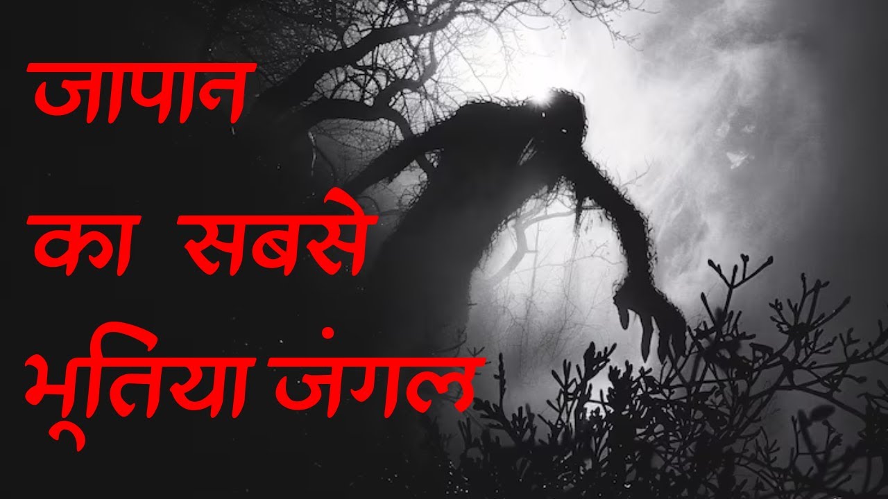 Aokigahara: The Haunted Secrets of Japan's Suicide Forest - YouTube