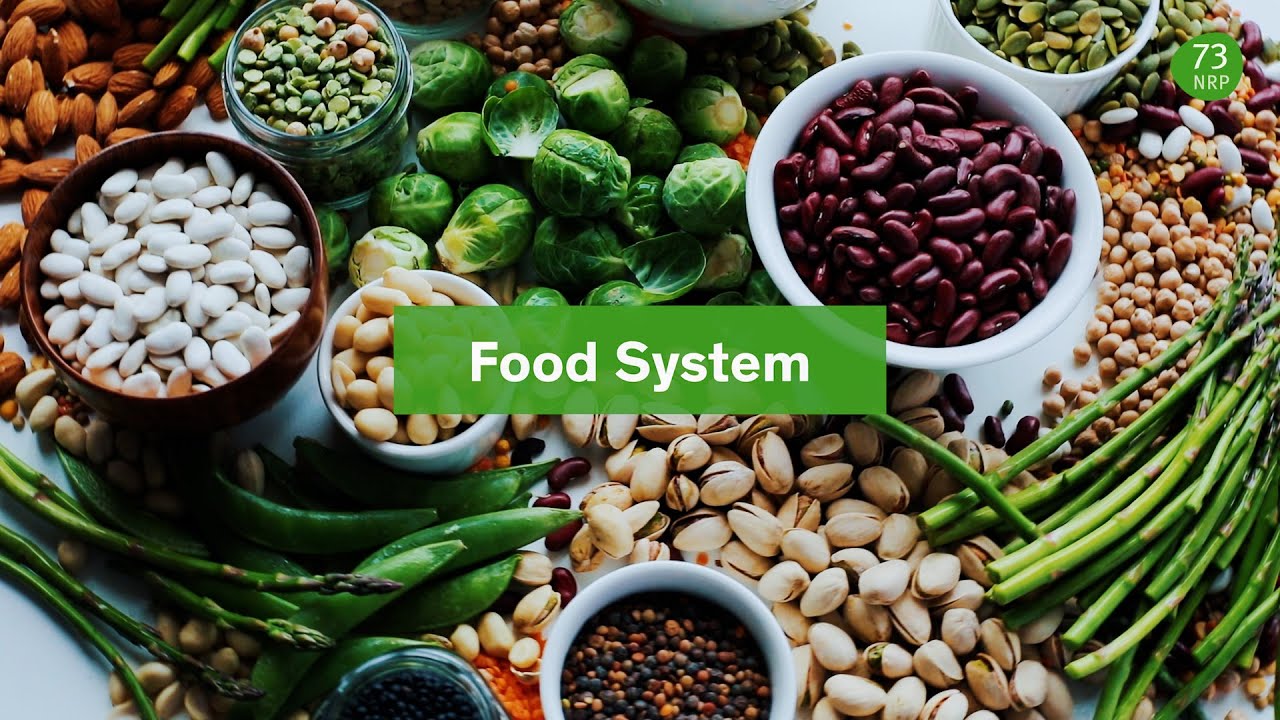 NRP 73: A sustainable food system in the 21st century? - YouTube