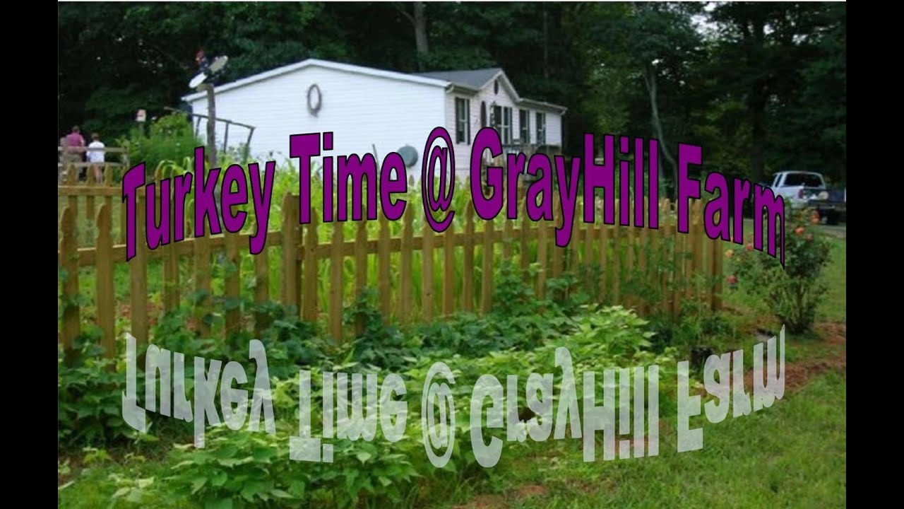 Grass Fed Turkey Slaughter on GrayHill Farm - YouTube