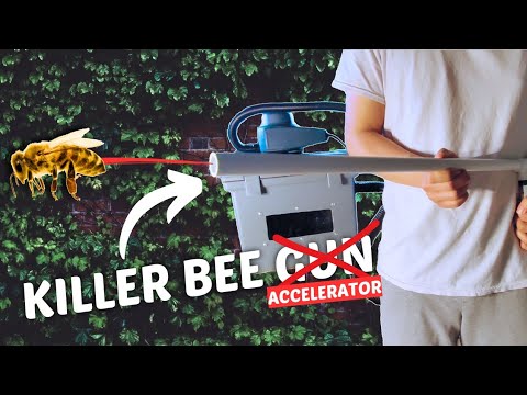 @allenpan is WRONG about bee weapons - YouTube