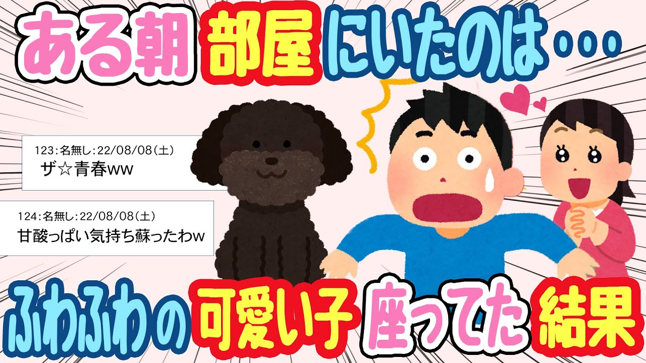 【2ch馴れ初め】ふわふわでかわいい子が座ってた ある朝部屋にいたのは・・・ Youtube