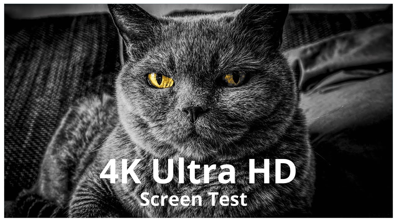 🌍 4K Ultra HD Screen Test - Push Your Screen to the Limits of ...