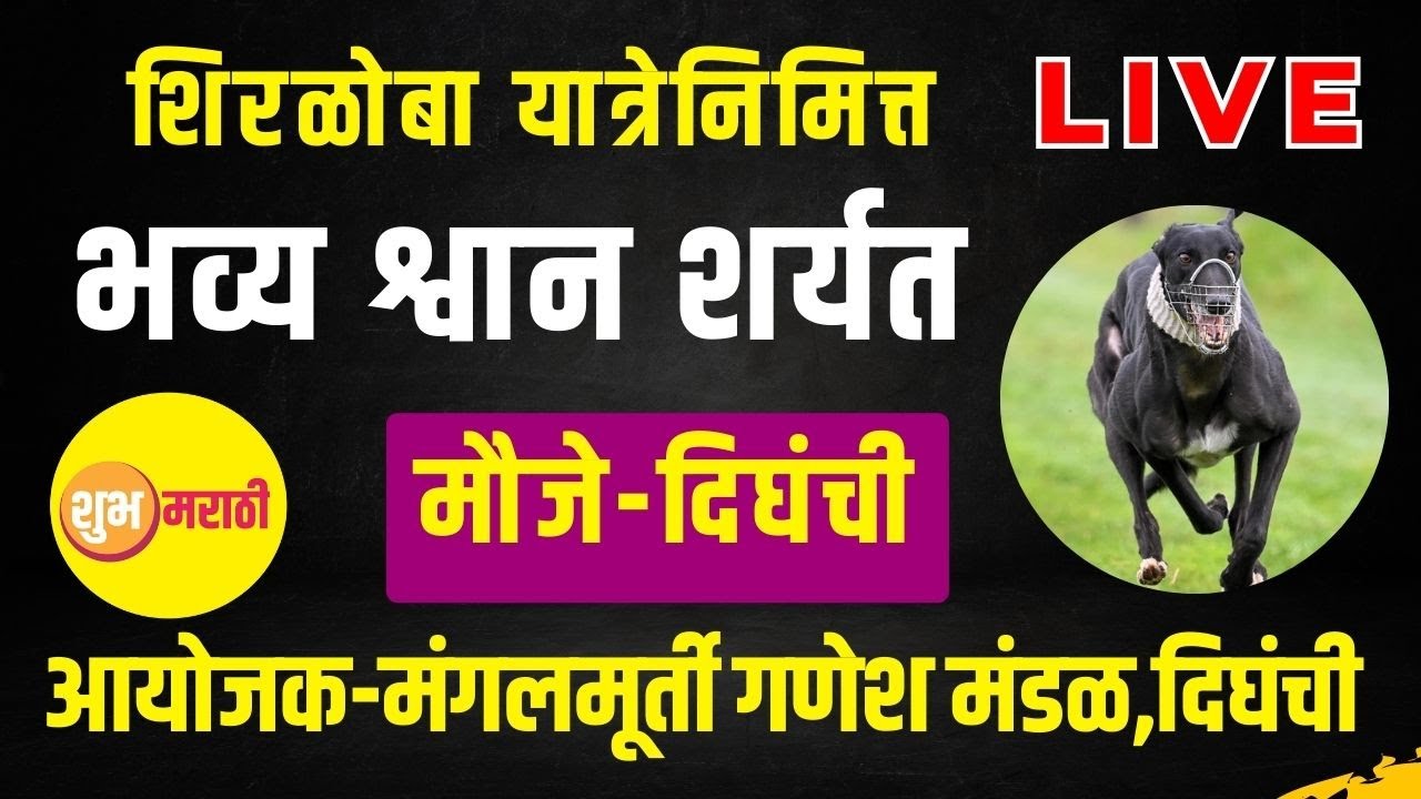 दिघंची | शिरळोबा यात्रेनिमित्त शर्यत | dighanchi | sharyat | live ...
