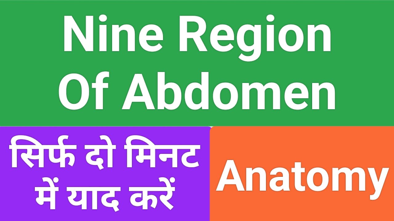 Nine Region of Abdomen।। With Simple Trick।। Anatomy।। ️ - YouTube